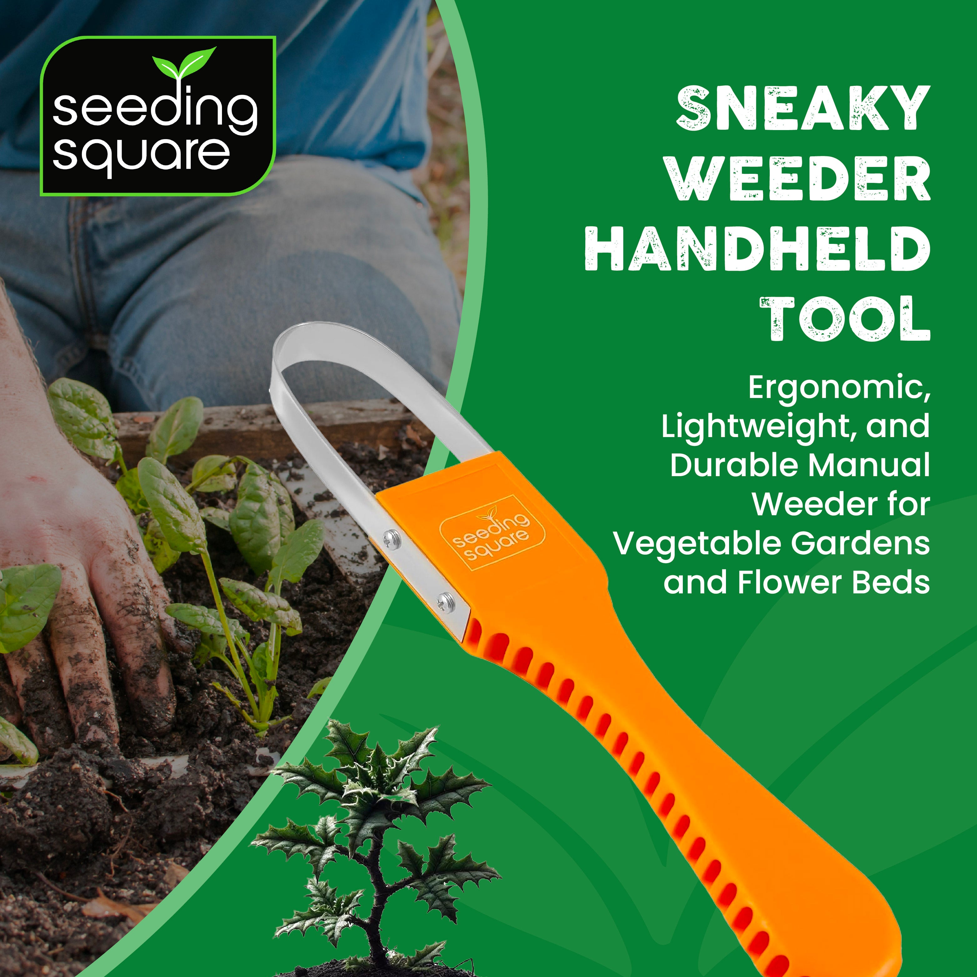 Seeding Square