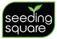 Seeding Square