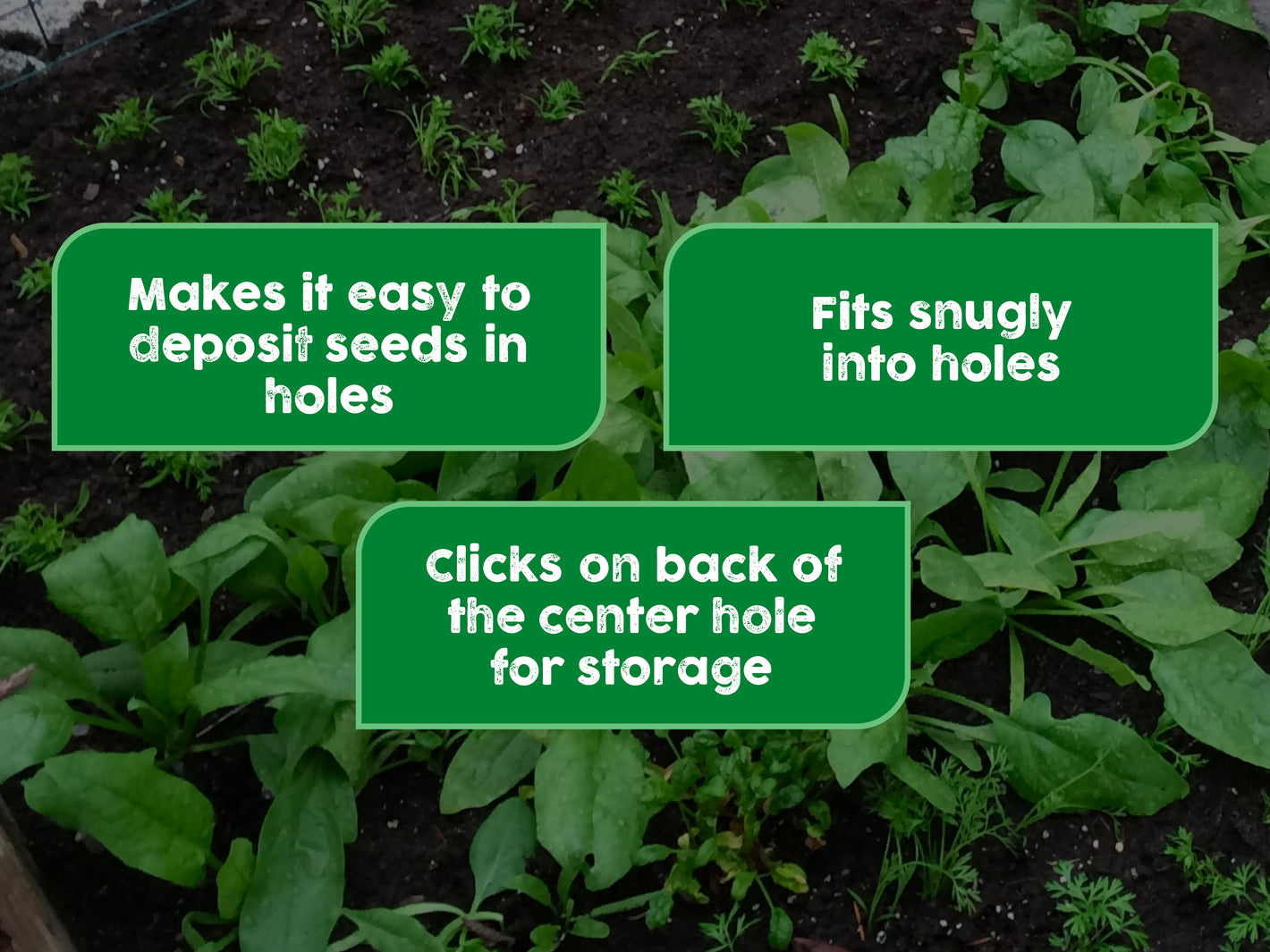 Square Foot Gardening Instructions and Guides | Seeding Square