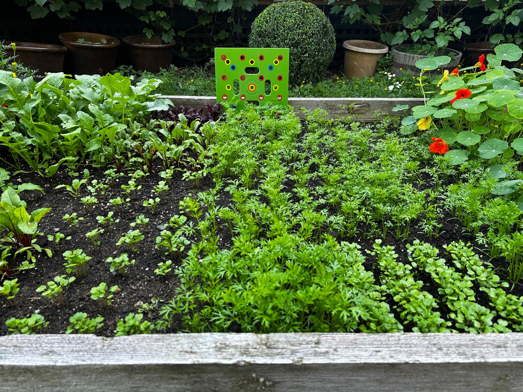 Seeding Square
