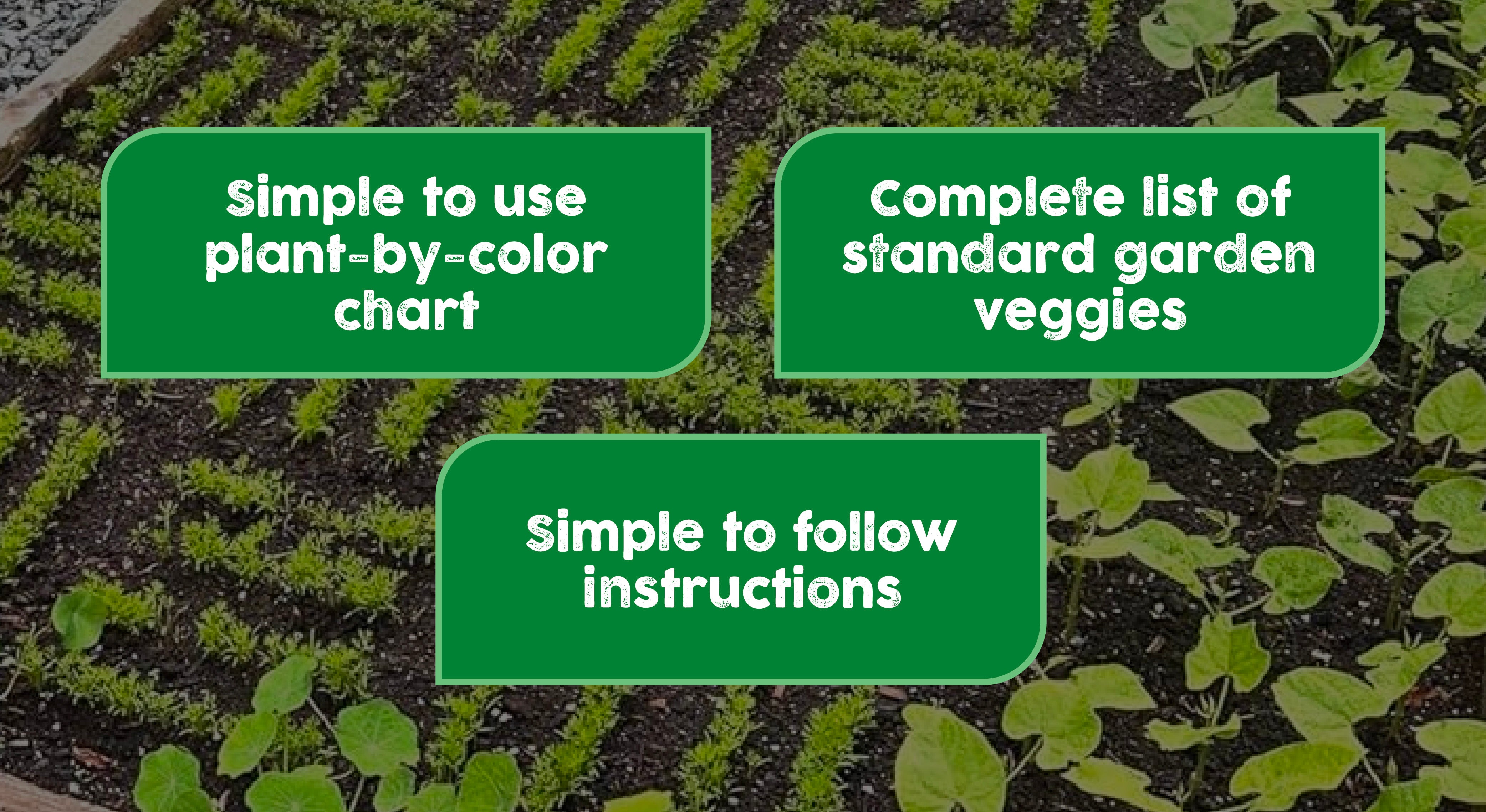 Square Foot Gardening Instructions and Guides | Seeding Square