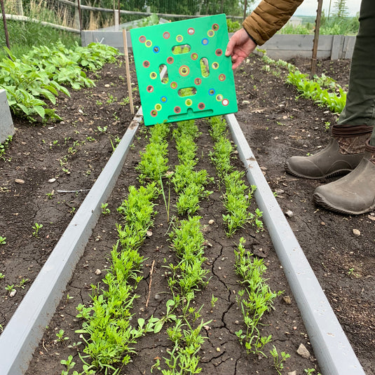 Square Foot Gardening Instructions and Guides | Seeding Square