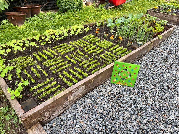 Seeding Square