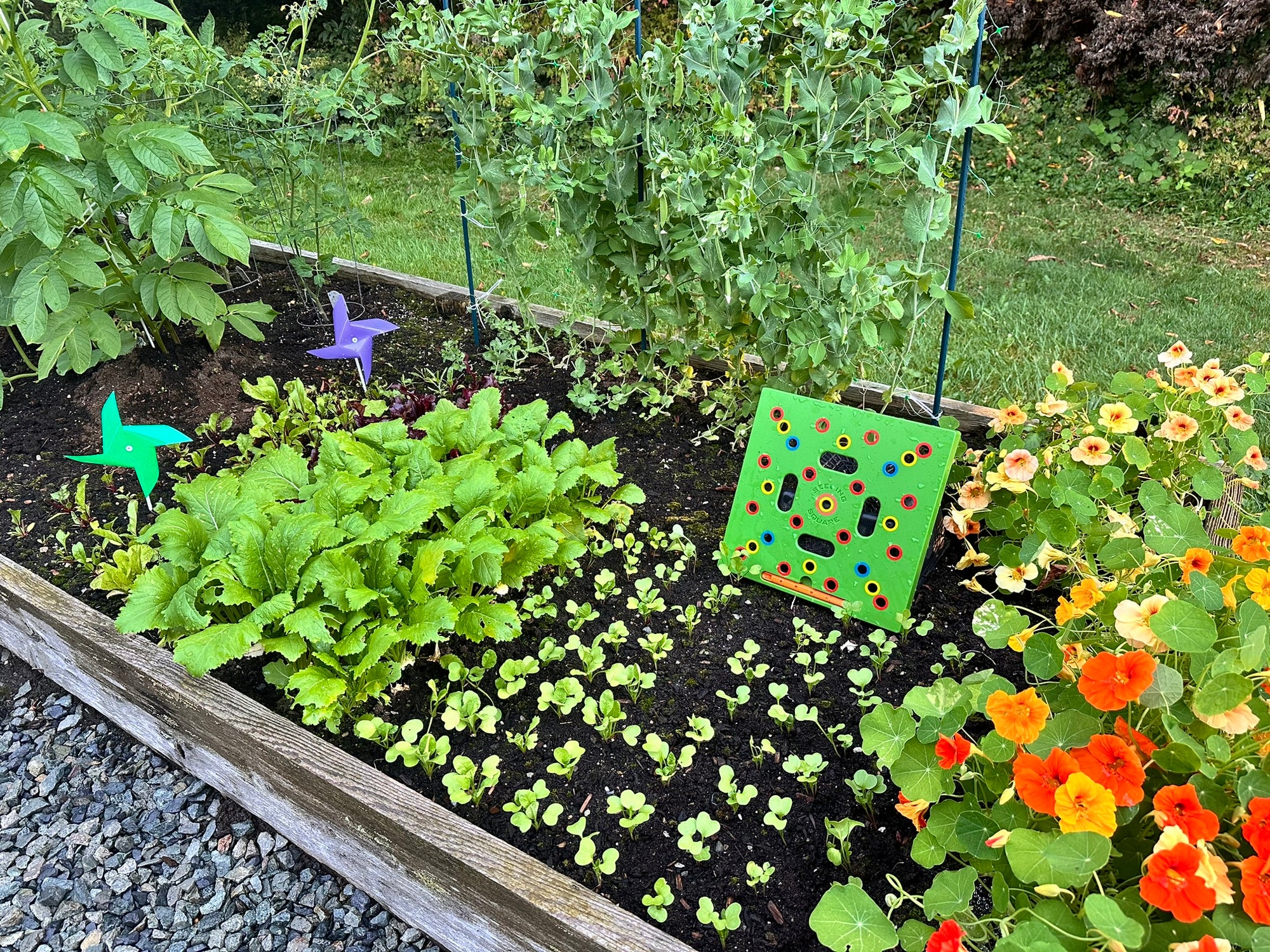 Seeding Square