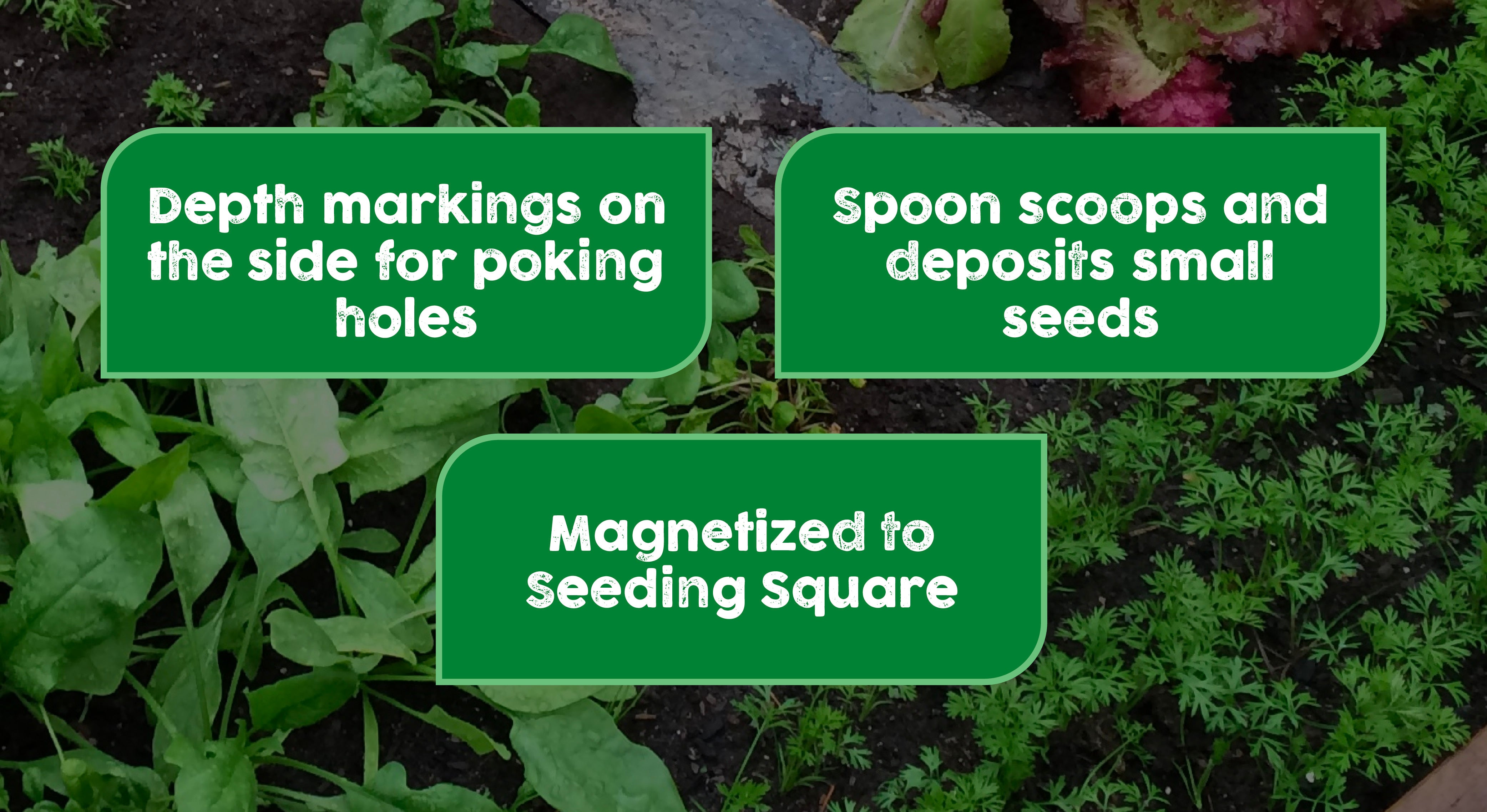 Square Foot Gardening Instructions and Guides | Seeding Square